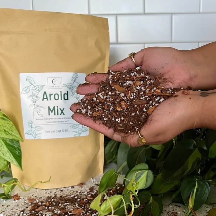 Best Aroid Soil Mix: DIY Recipe for Monstera, Philodendron & More – Elm ...