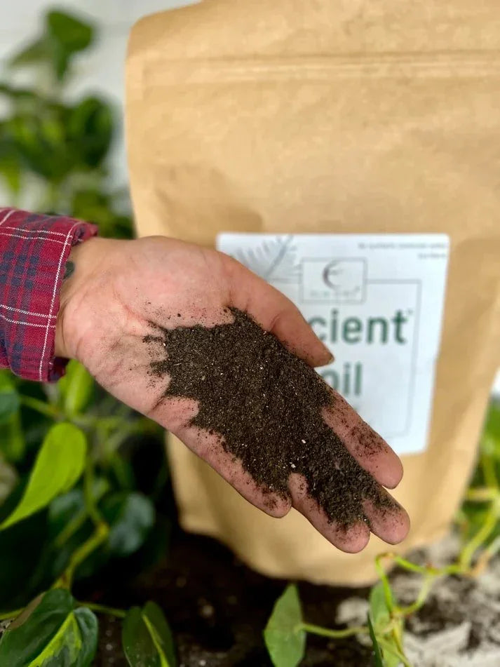 Ancient Soil: Organic Living Soil for Thriving Plants – Elm Dirt