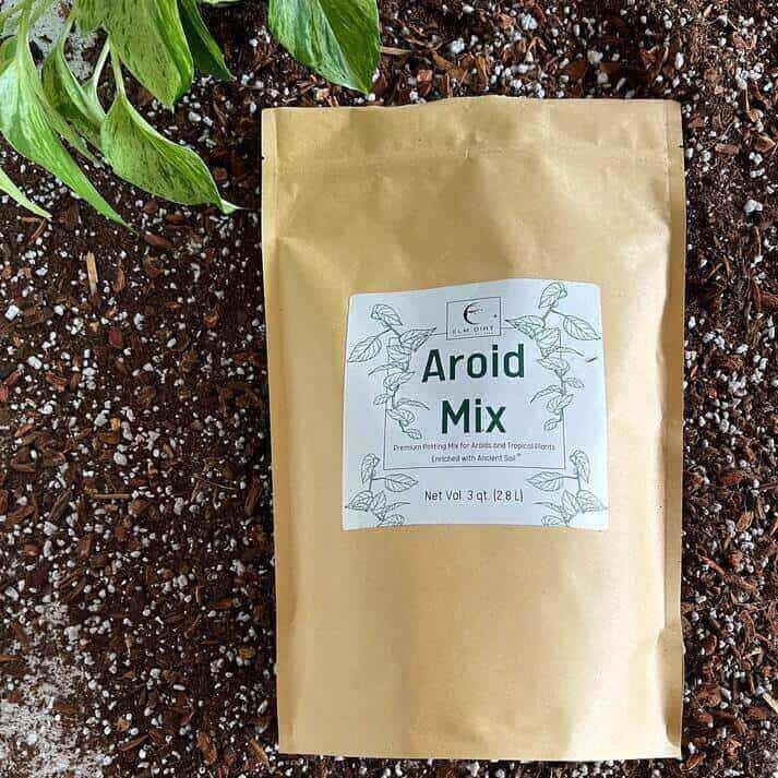 Premium Aroid Mix For Tropical Plants – Elm Dirt